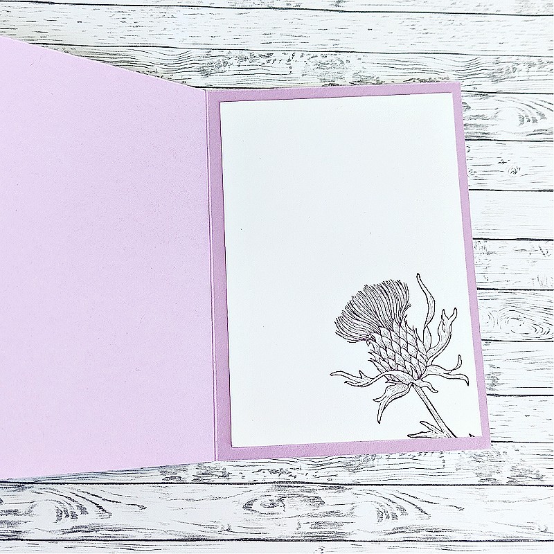Beautiful Thistle Card Sketch - Bluegrass Stamper